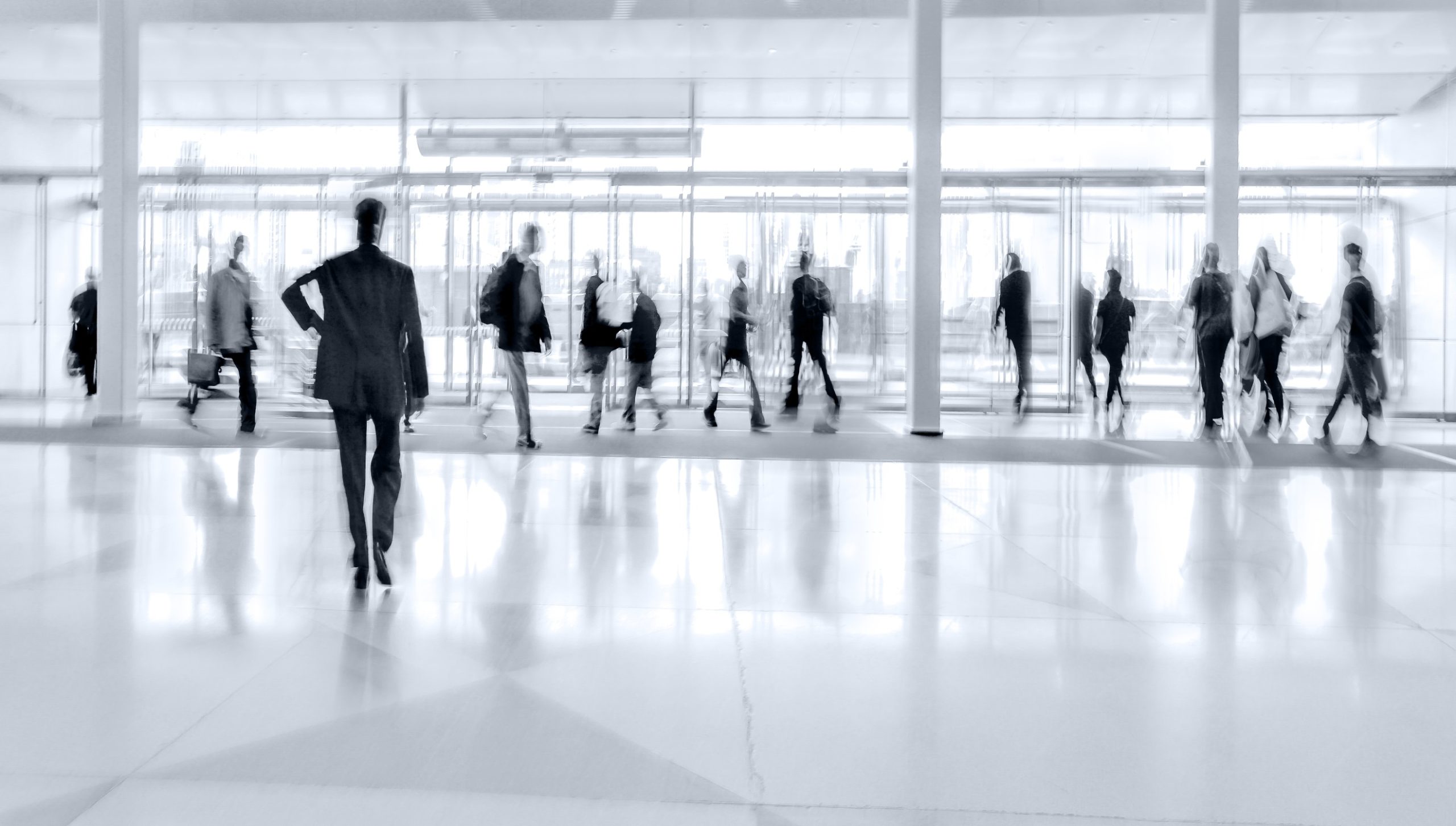 FZZZ: U maju objava poziva “Tražim poslodavca 2024” | Z Portal